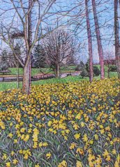 Daffodils - Les Brown Art and Music - Lincoln